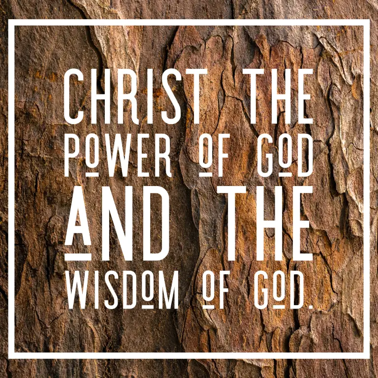 Jesus, the Wisdom of God - One God Worship